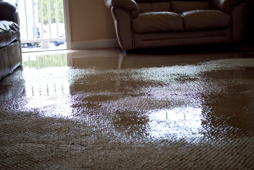 IICRC S500: What Restoration Pros Need to Know